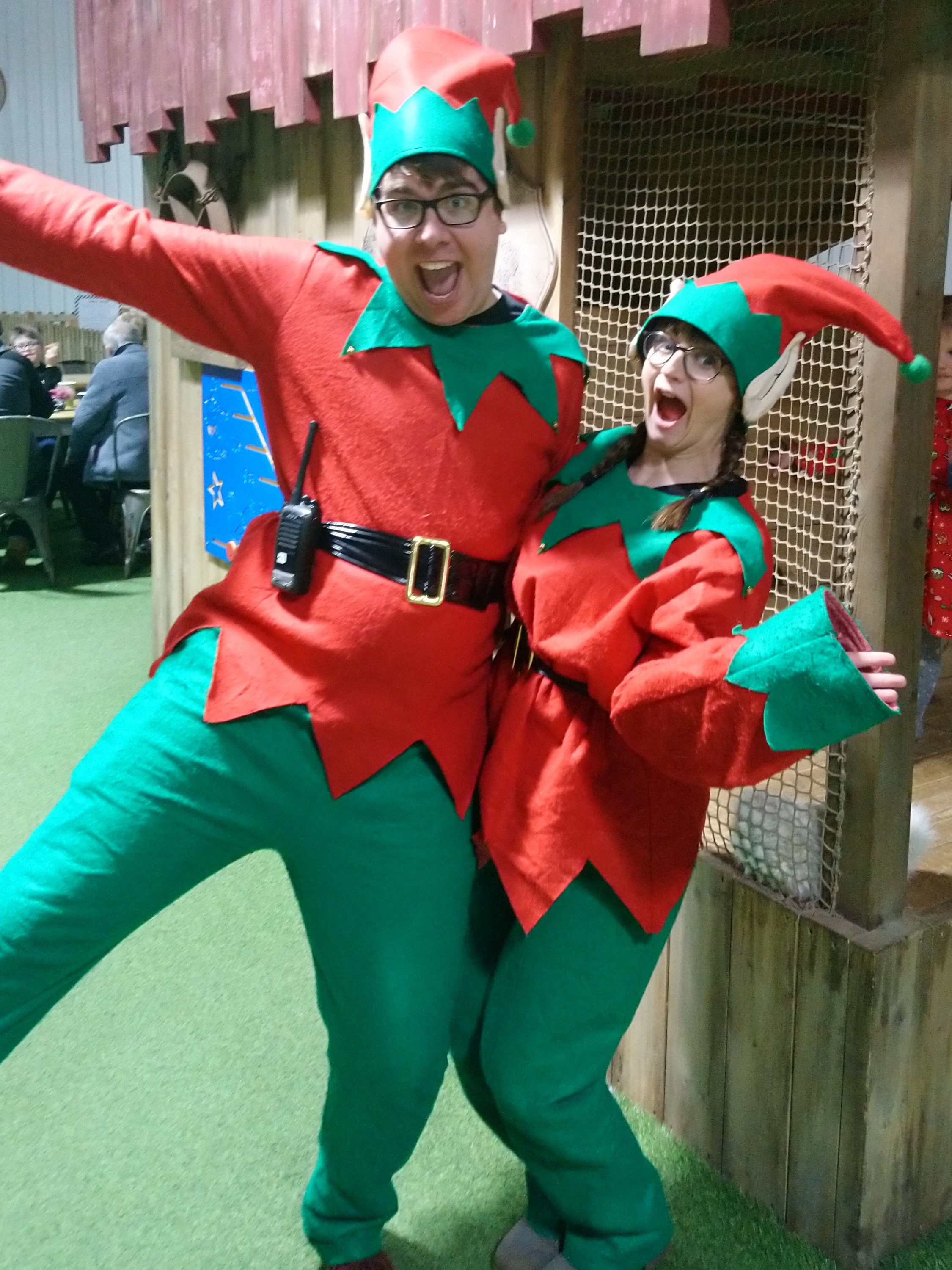 Five Go Festive! Christmas at Amerton Farm – Dirt, Diggers and Dinosaurs