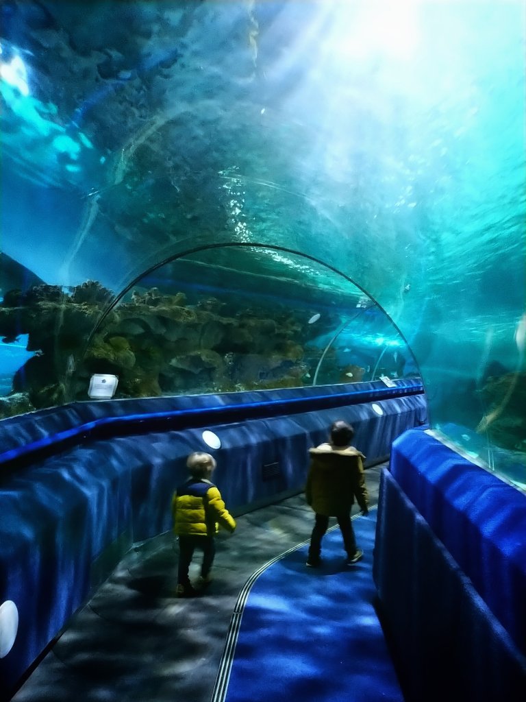 Review: Blue Planet Aquarium – Dirt, Diggers and Dinosaurs