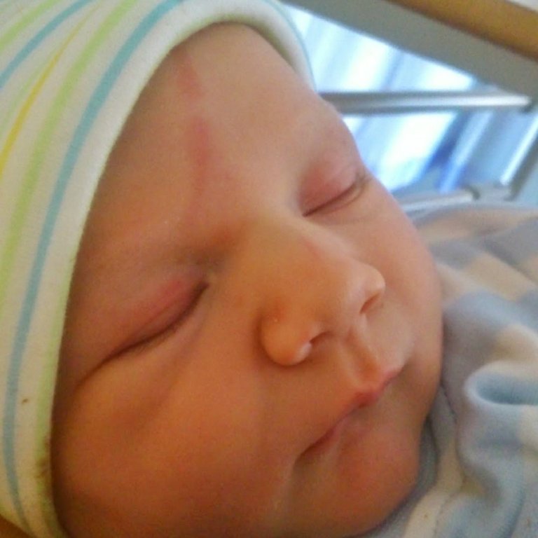 Dear Stanley… – Dirt, Diggers and Dinosaurs