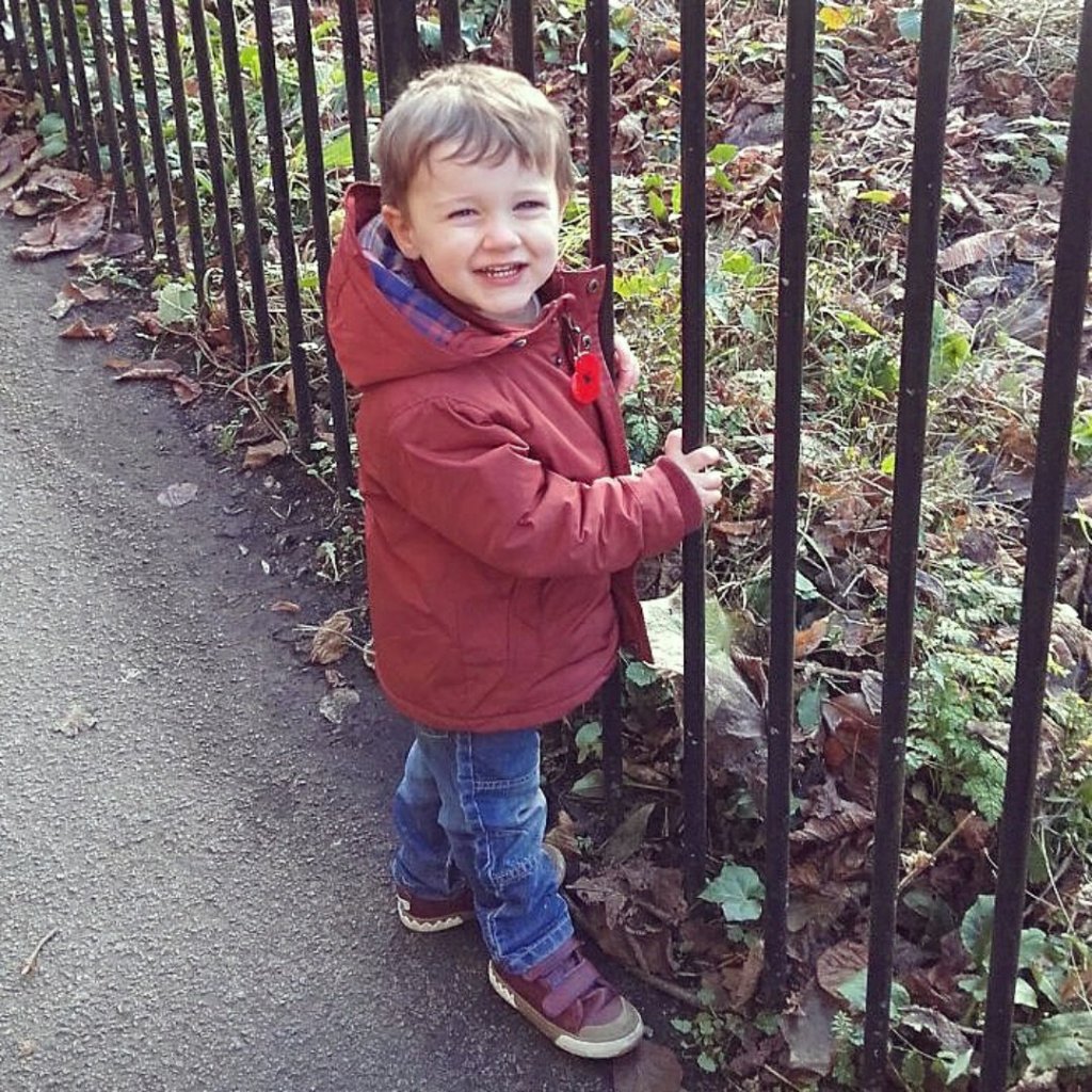 Dear Stanley… – Dirt, Diggers and Dinosaurs