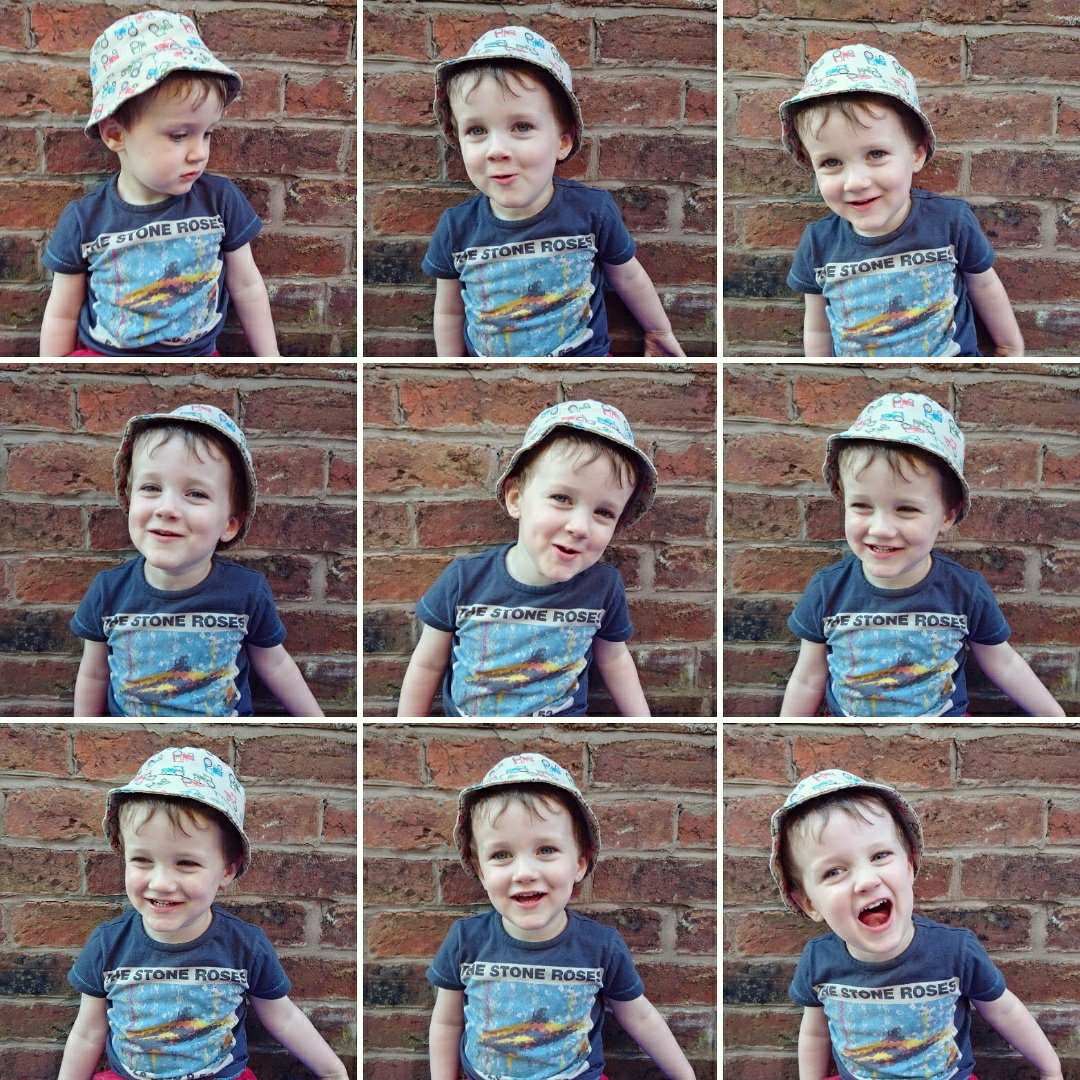 Dear Stanley… – Dirt, Diggers and Dinosaurs