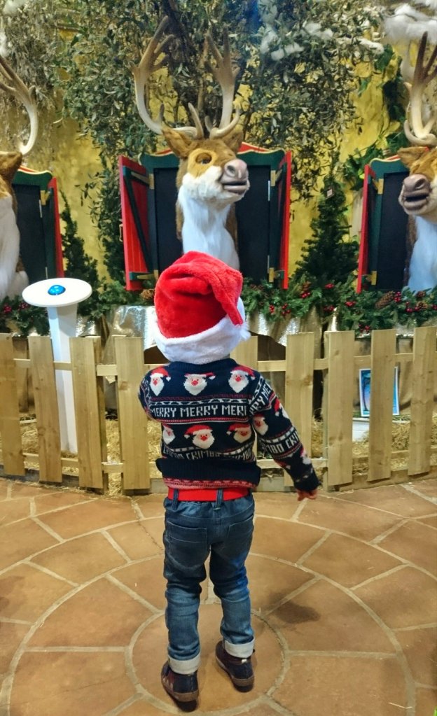 Our Top Festive Finds 2019: Something A Little Bit Different! – Dirt ...